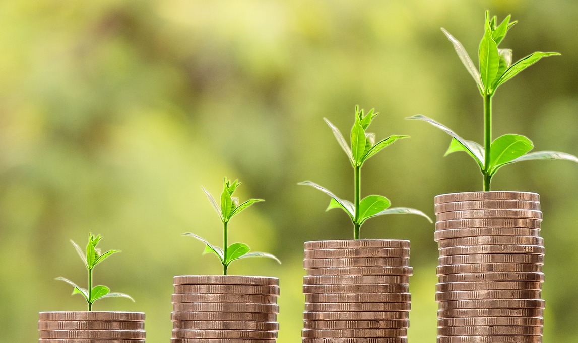 Festival Grants: Everything you need to get started - ZAPP® Blog